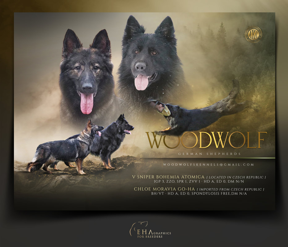 EHA GRAPHICS - DESIGN FOR BREEDERS AND STUD OWNERS